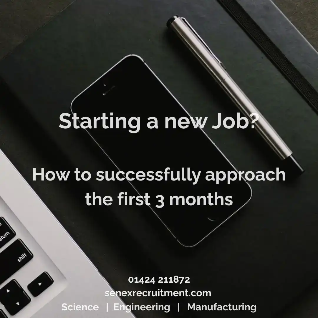 First Months in a New Job: A Complete Guide from Senex